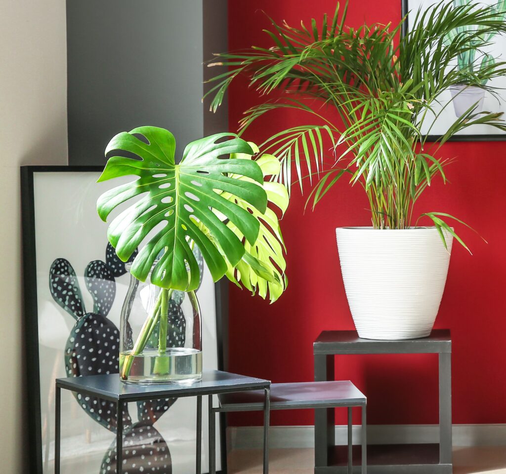 Decor Simplified – Home decorating can be complicated… Decor Simplified ...